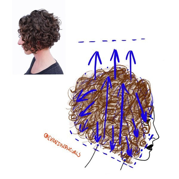 Why You Should Try Using Head Sheets For Haircuts – ARC™ Scissors